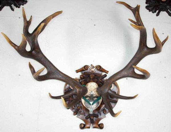 International Order of St. Hubertus - The Antiquities of St. Hubertus ...